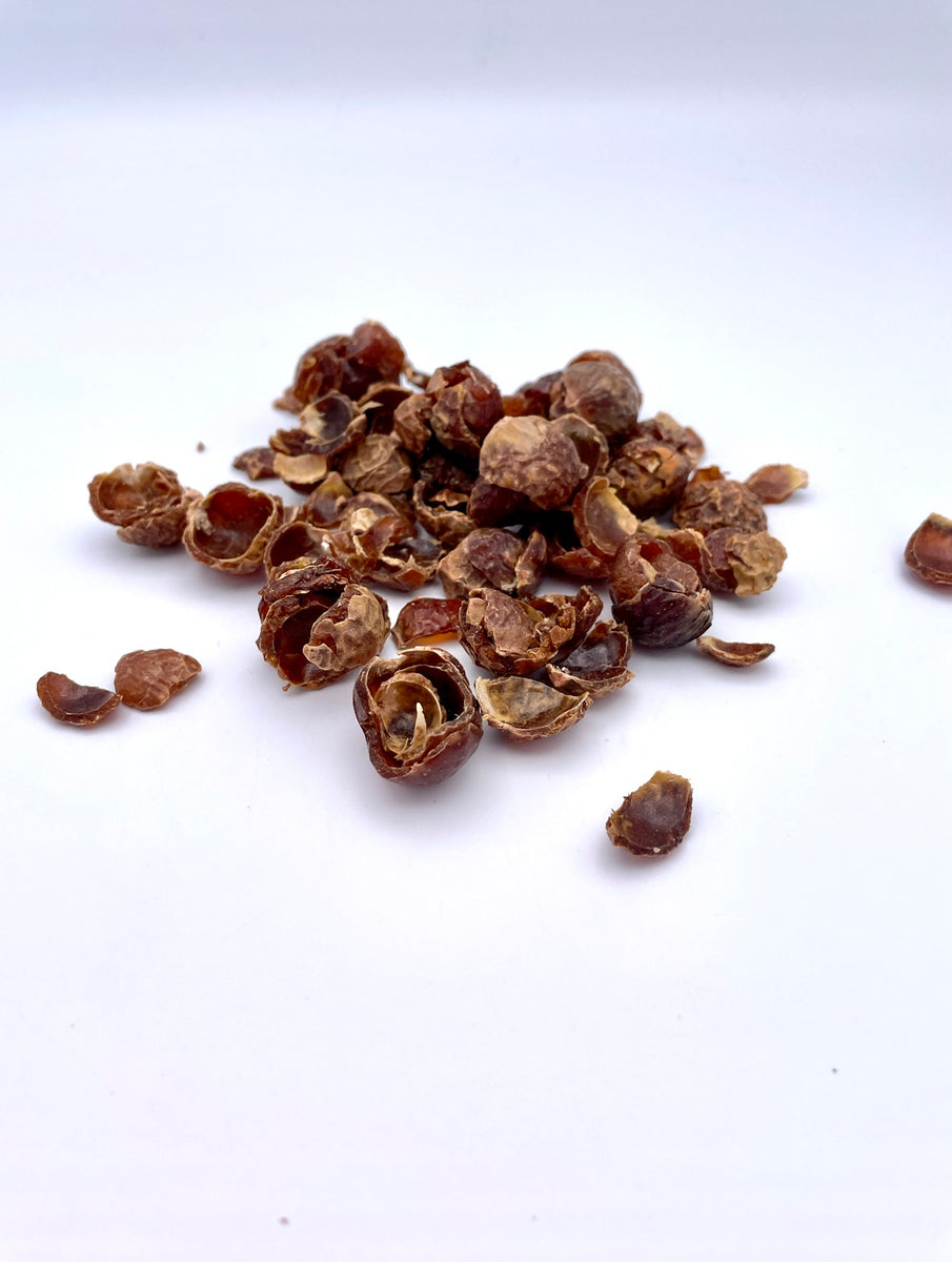 Organic Wash Nuts – AromaLisa